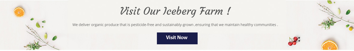 MKenterprise - Products